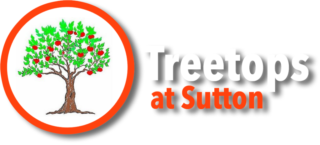 Treetops Before & After-School Club – Sutton on the Forest School
